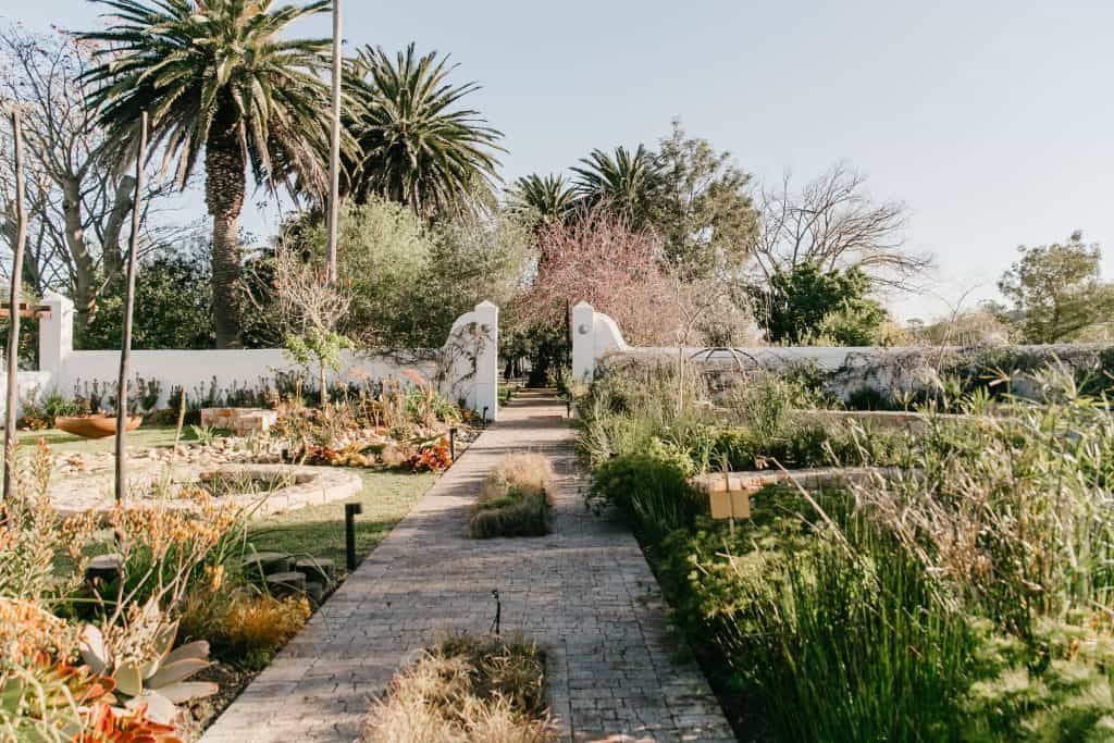 Elemental Play Garden | Natures Playground | Spier Wine Farm